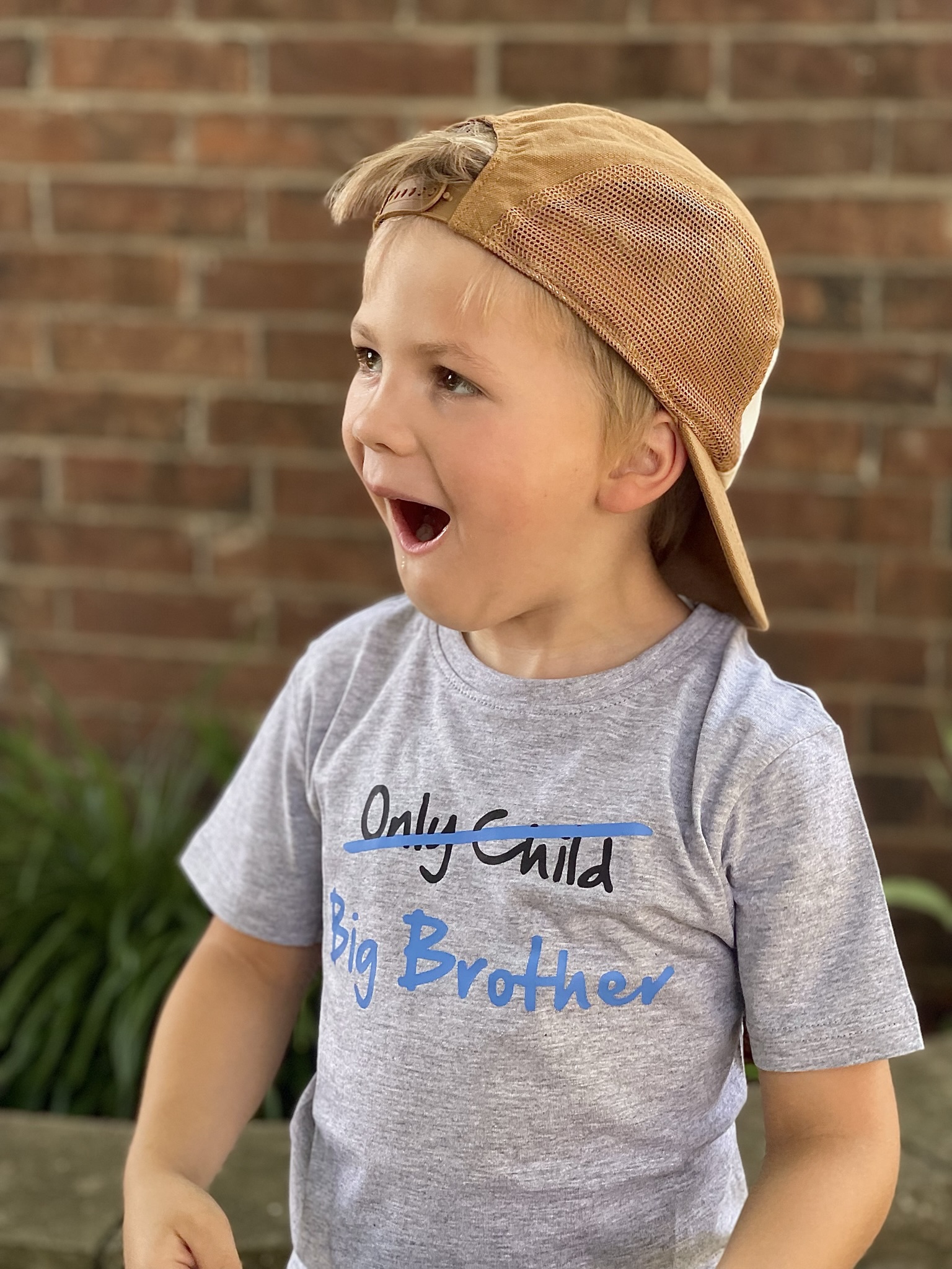 Hattenhauer Gender Reveal